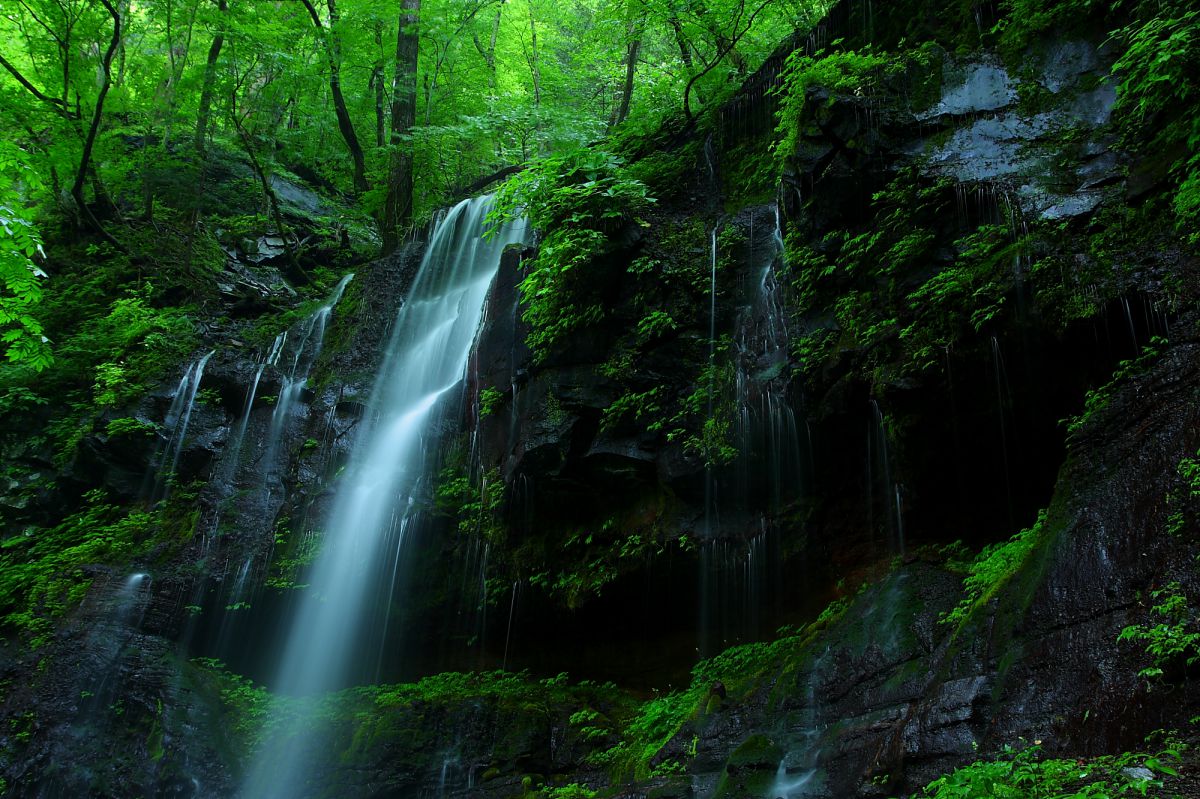 WATER LINE 2 | GANREF