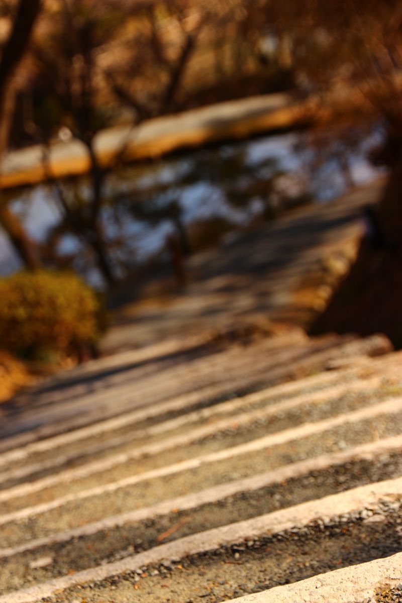 振り向き。 | GANREF