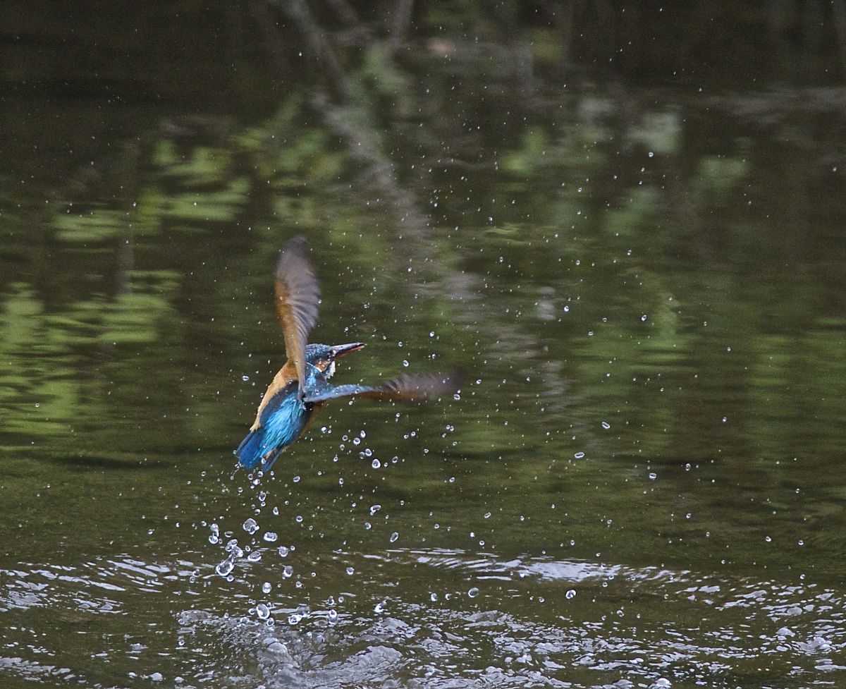 方向転換 | GANREF