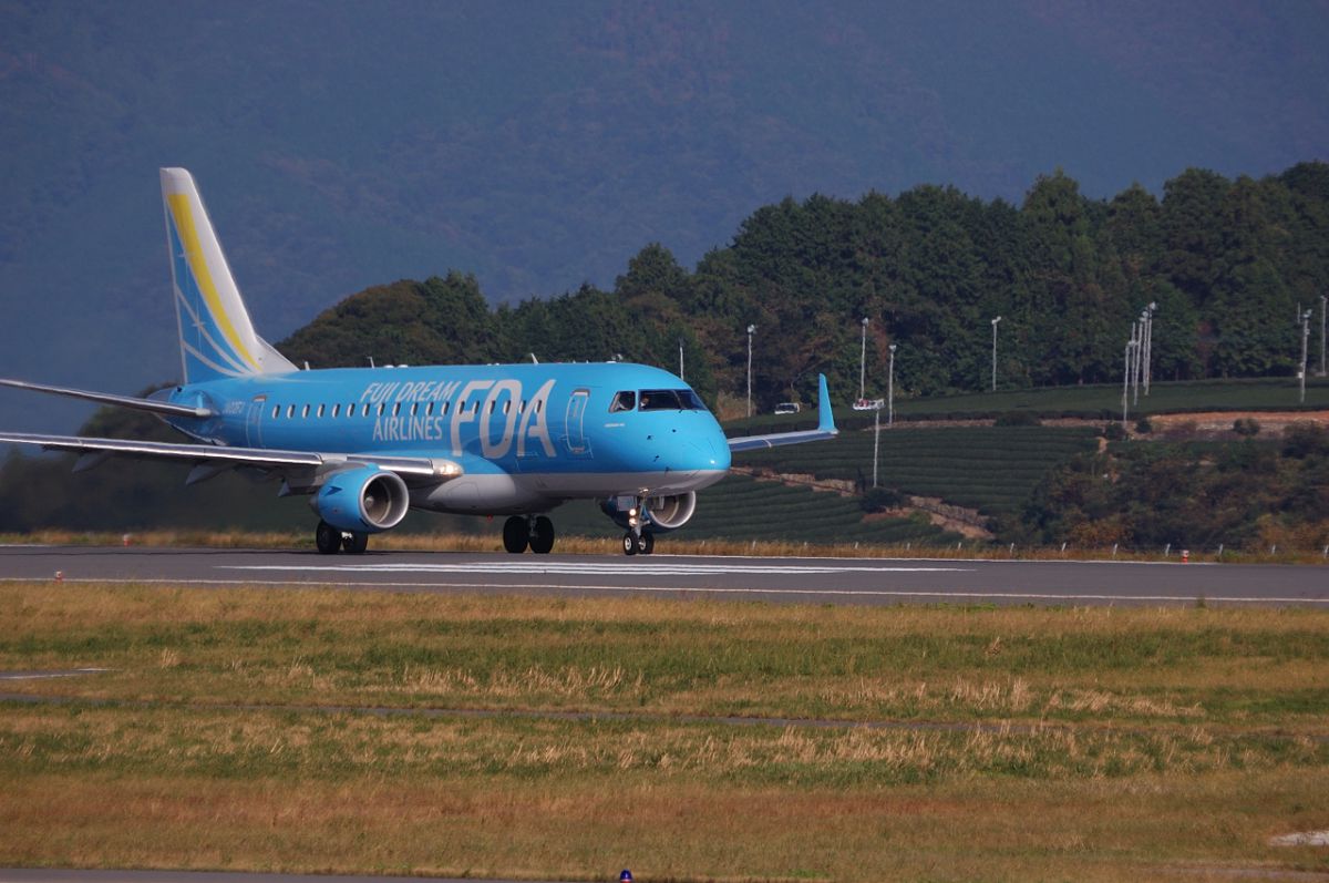 FDAと茶畑 | GANREF