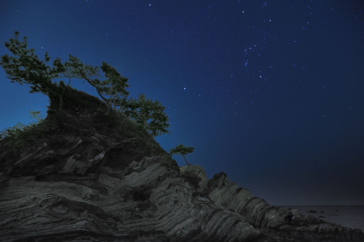 オリオンに捧ぐ | GANREF