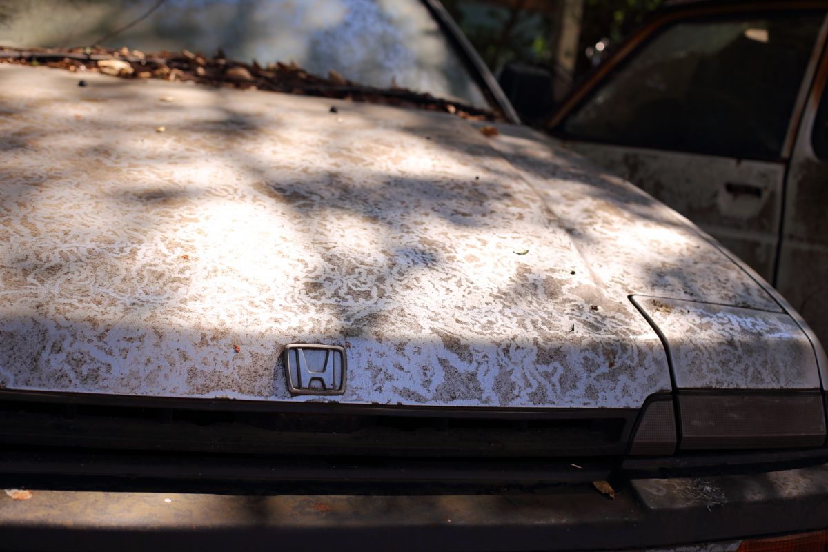 Operation Lorelei #02 | GANREF