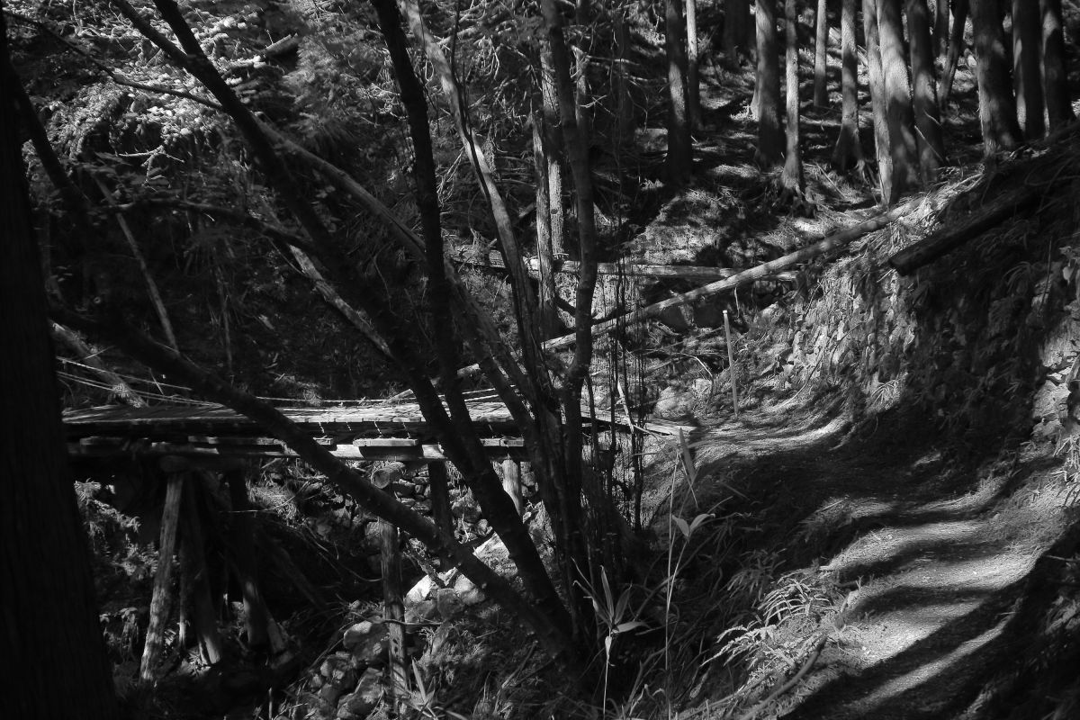 Light in the Darkness | GANREF