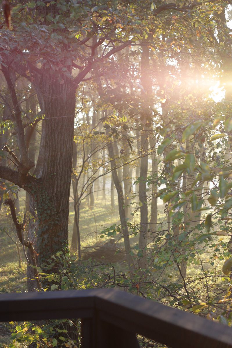 point of no return | GANREF