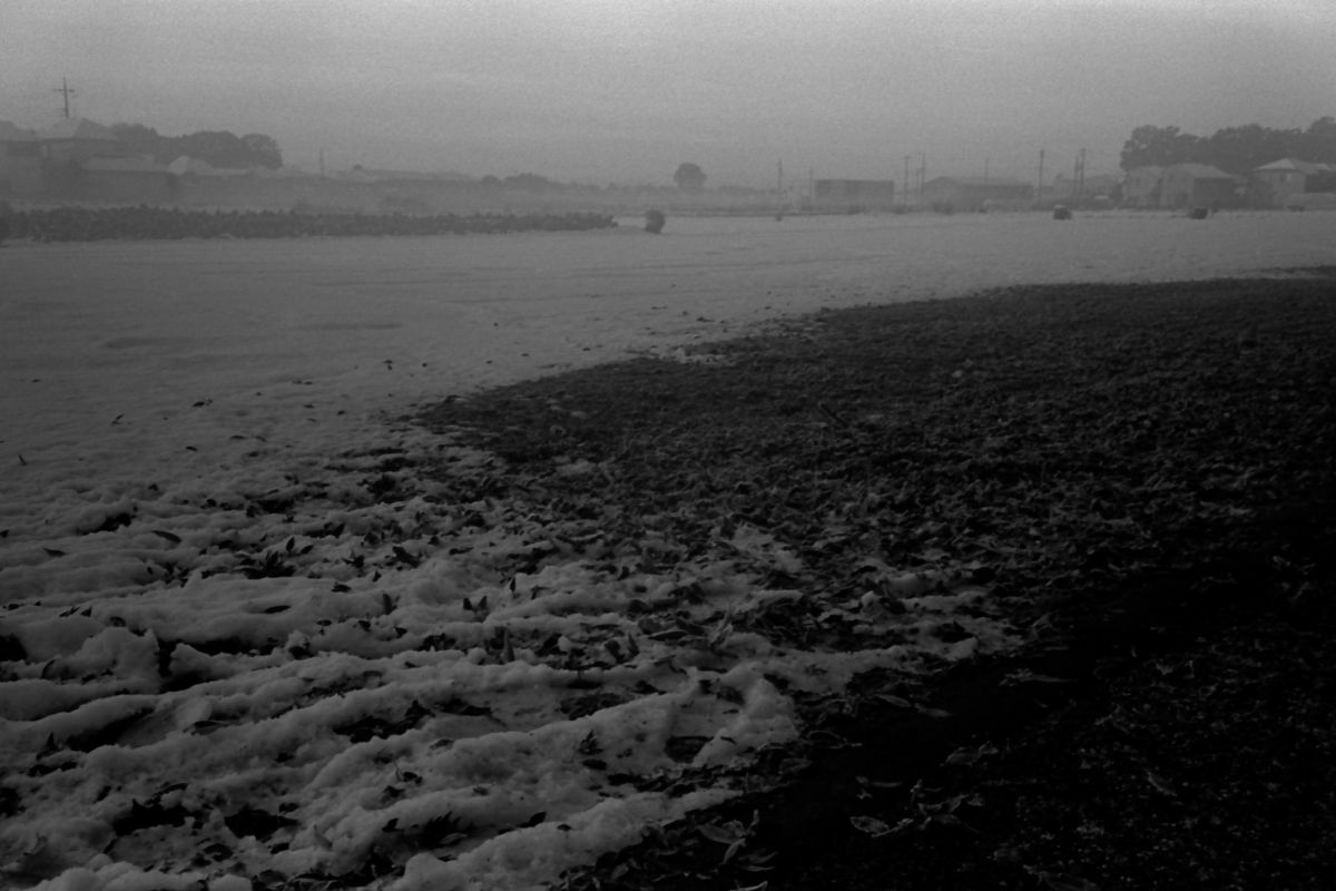 Snow ground | GANREF