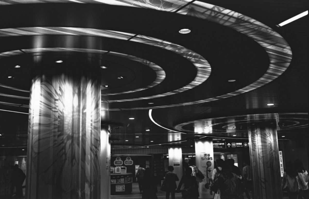 perspective | GANREF