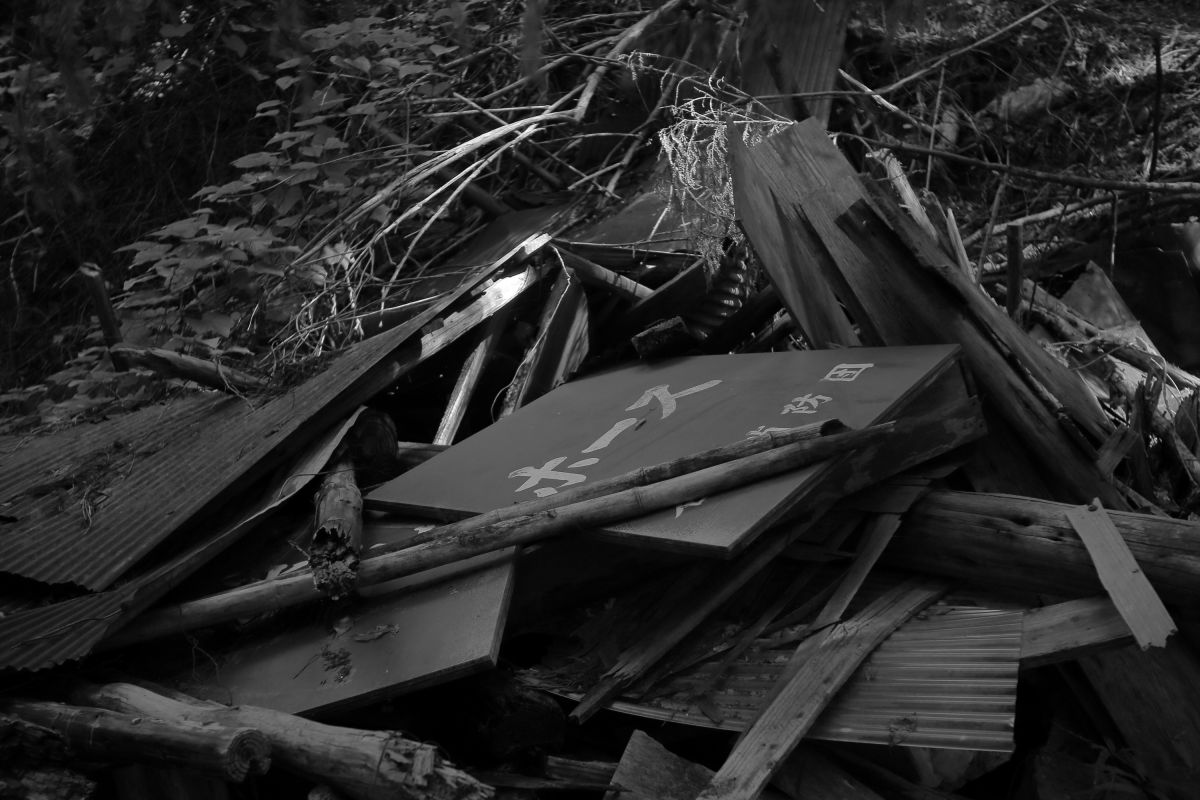 Past future now | GANREF