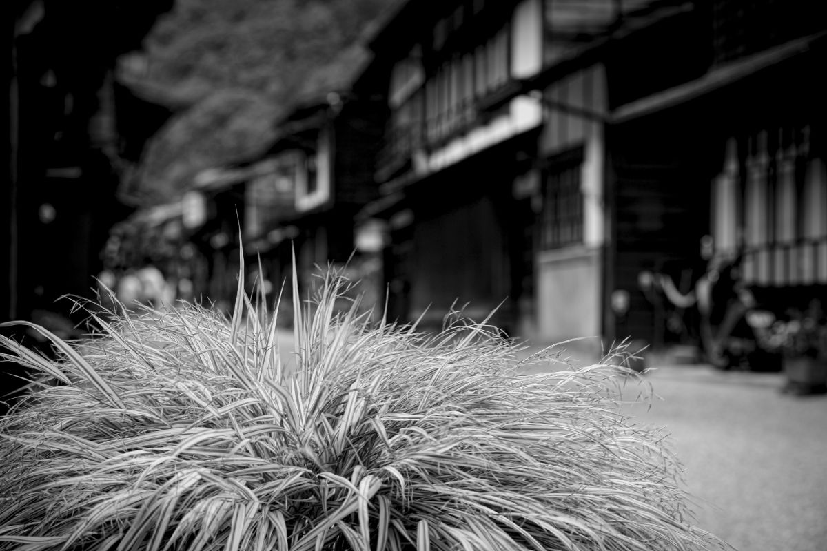 宿場BW＃0 | GANREF