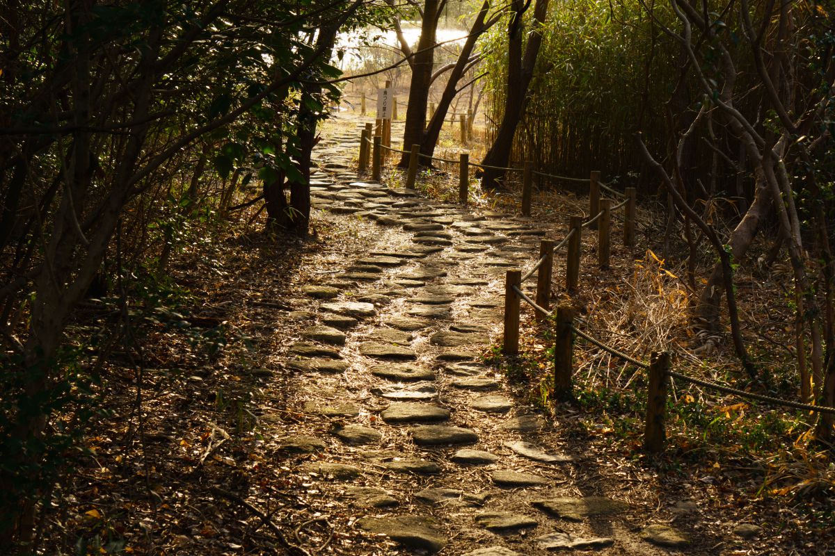 Winding Road | GANREF