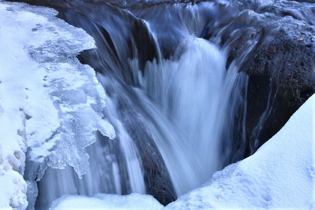 the flow... | GANREF