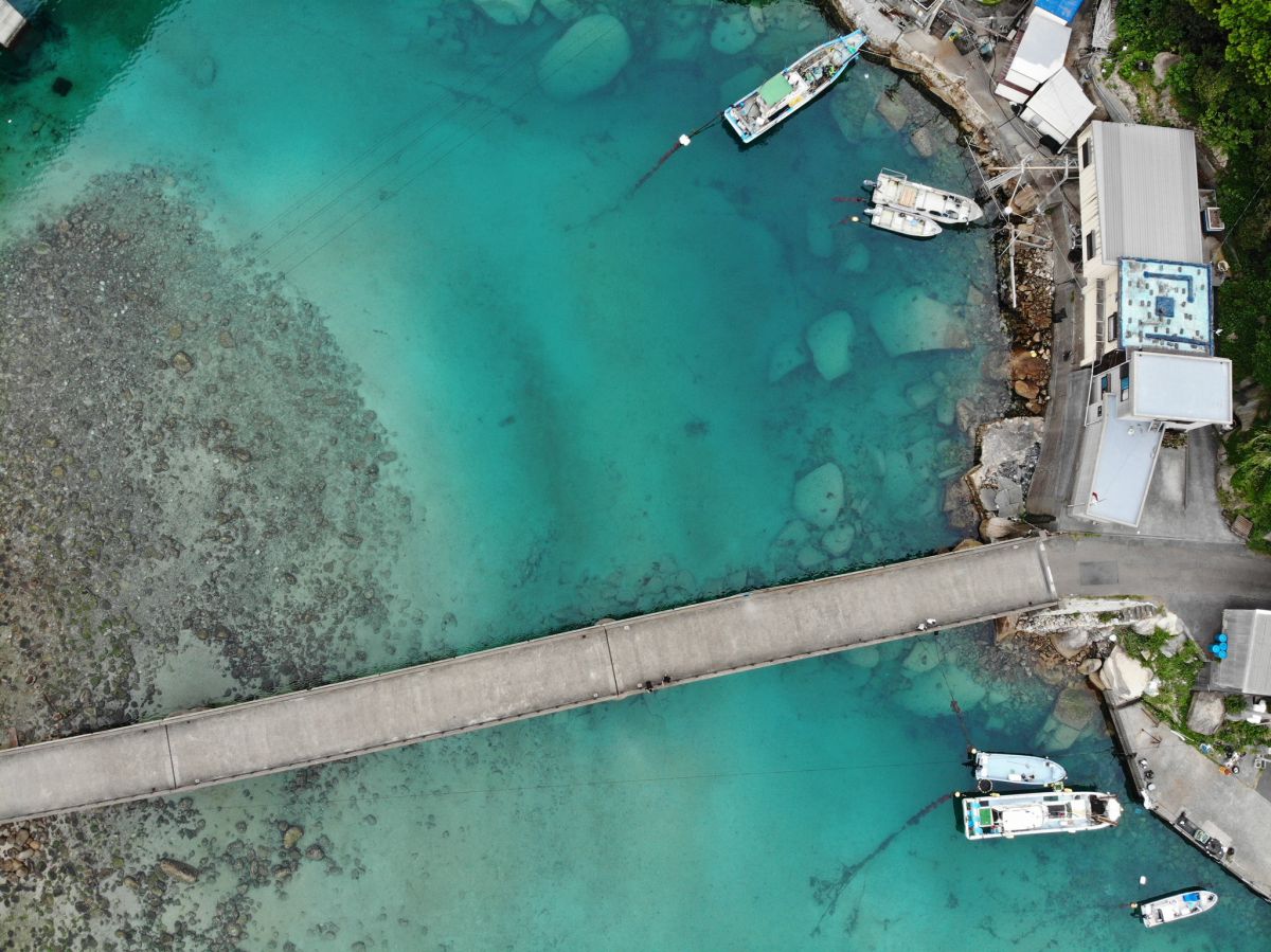 Transparent sea | GANREF