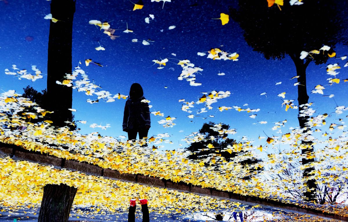 parallel world | GANREF