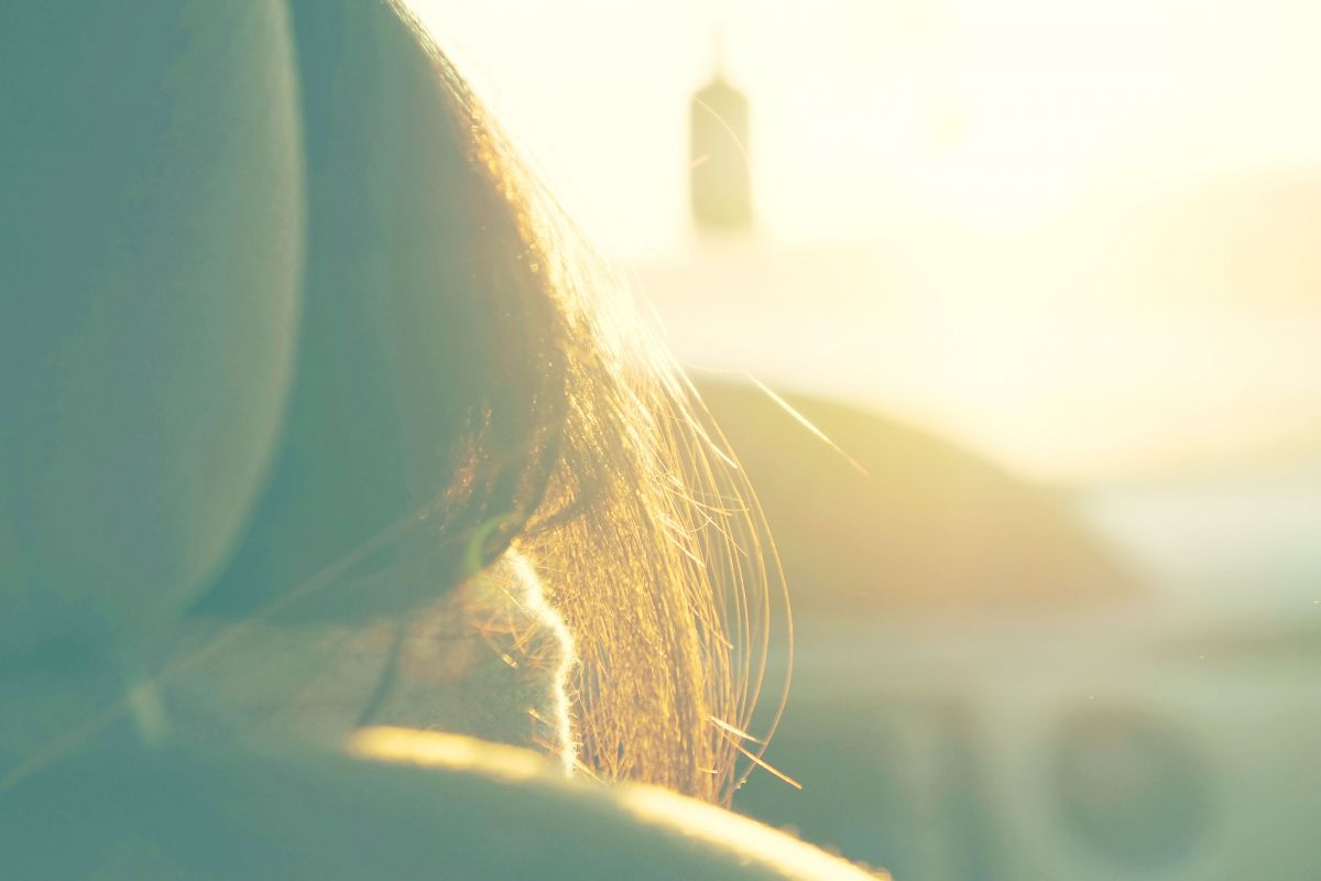 Morning Drive | GANREF