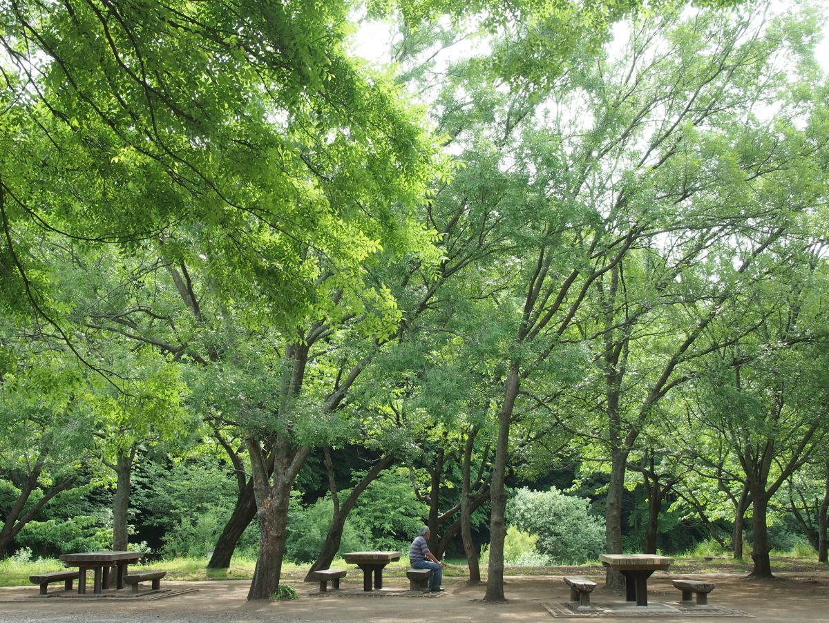 チョット一休み・・・♪ | GANREF