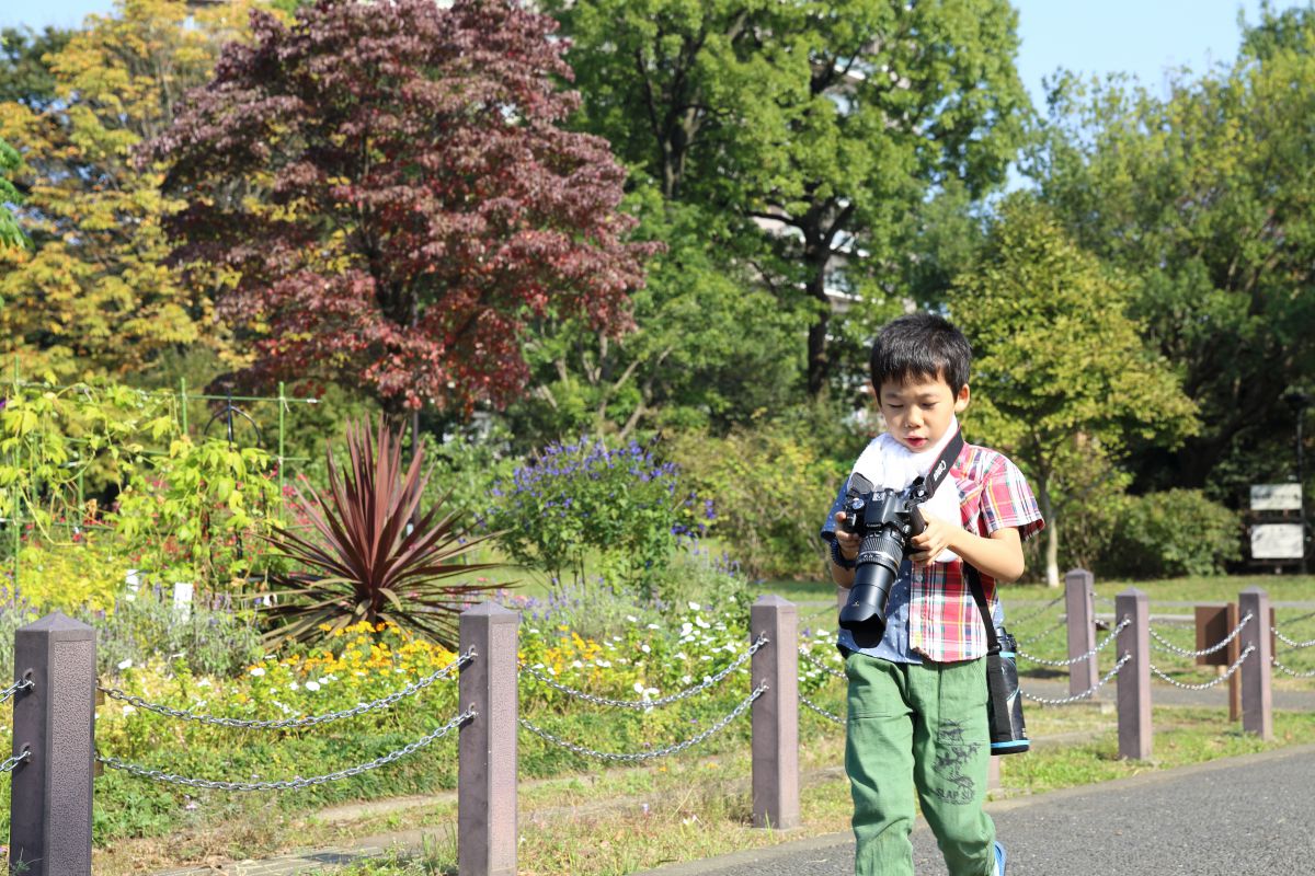 上手く撮れたかな | GANREF