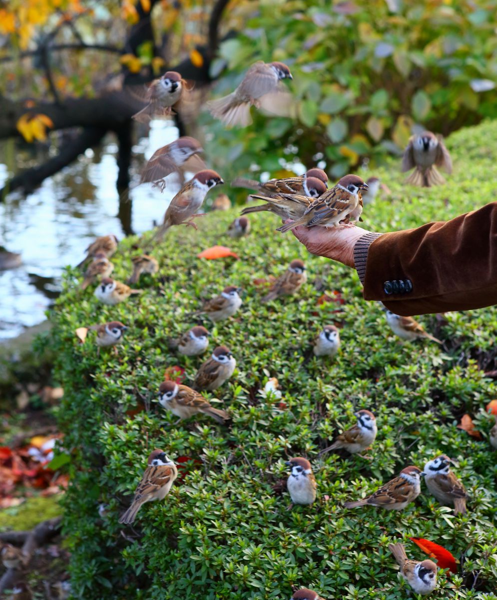 God Hand～♪ | GANREF