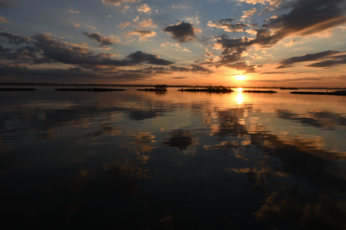 Mirror world | GANREF