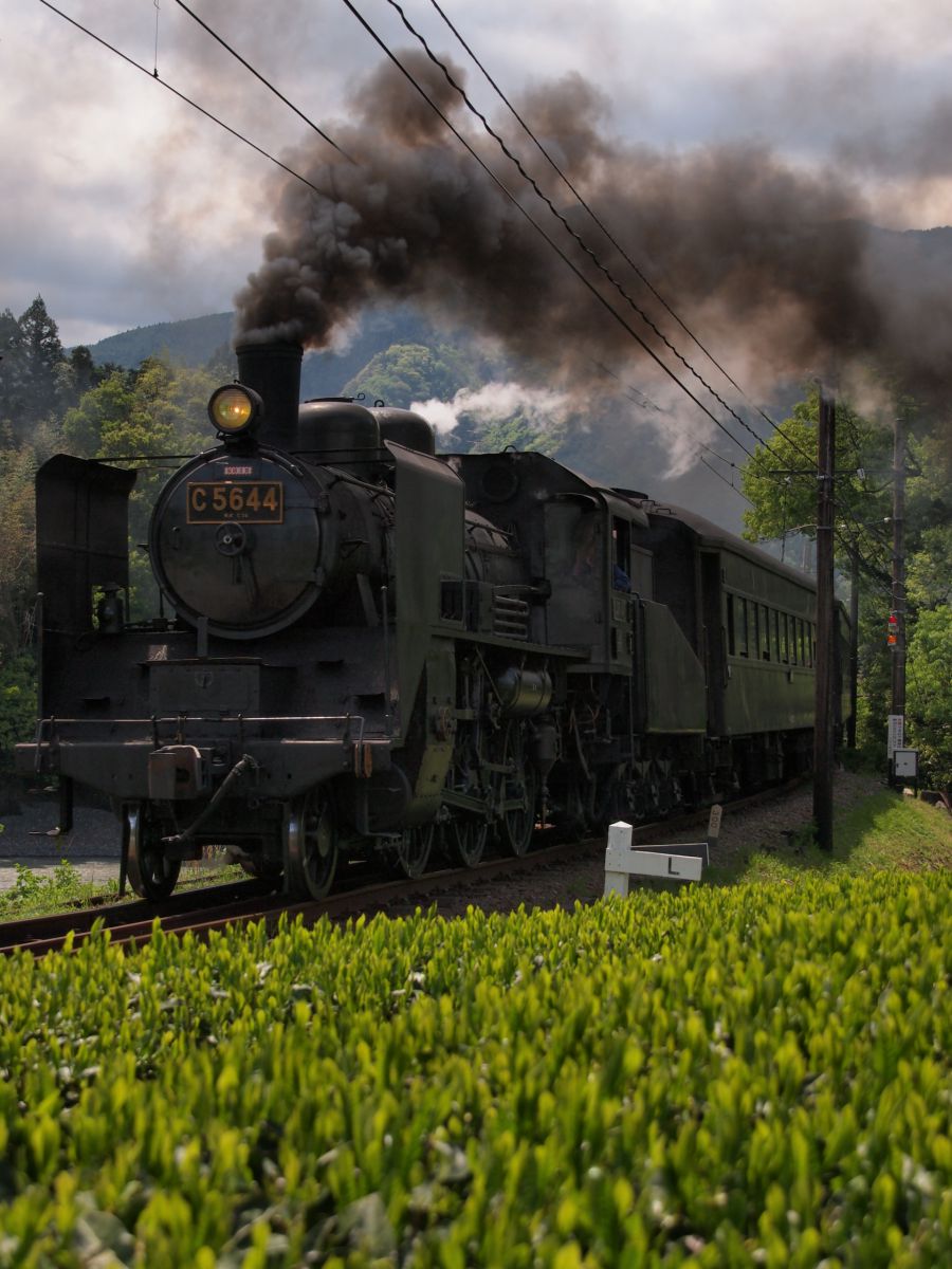 C56の勇姿 | GANREF