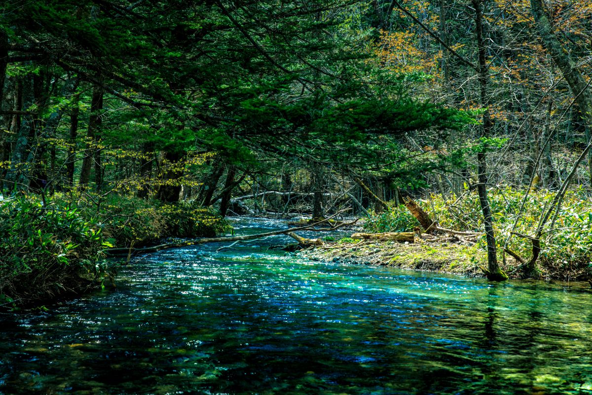 emerald green | GANREF