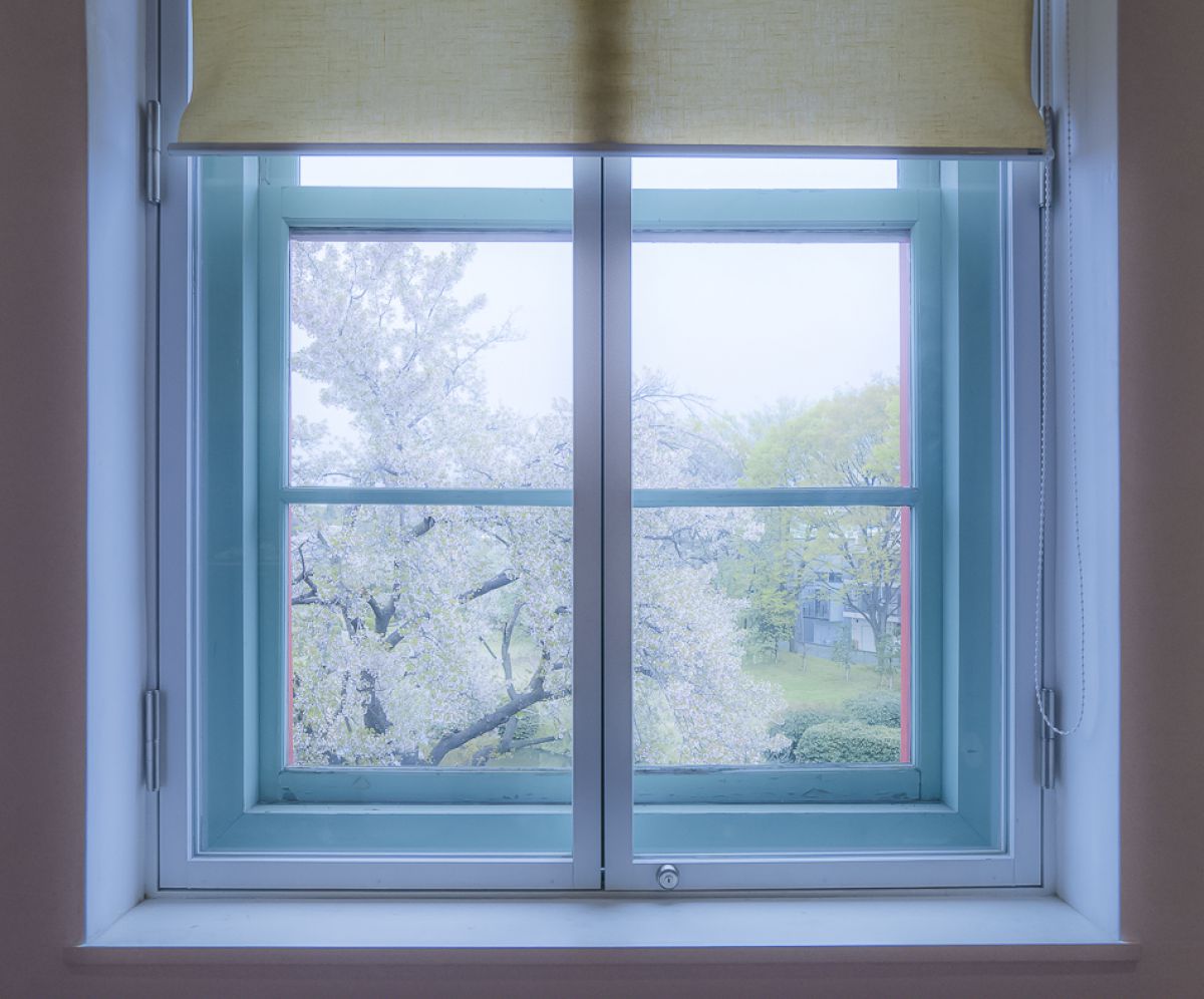 Sakura Window | GANREF
