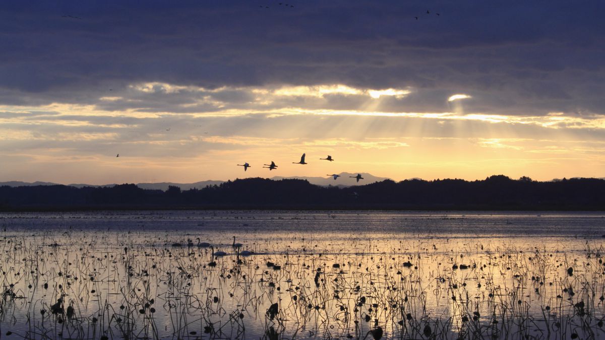 crepuscular rays | GANREF