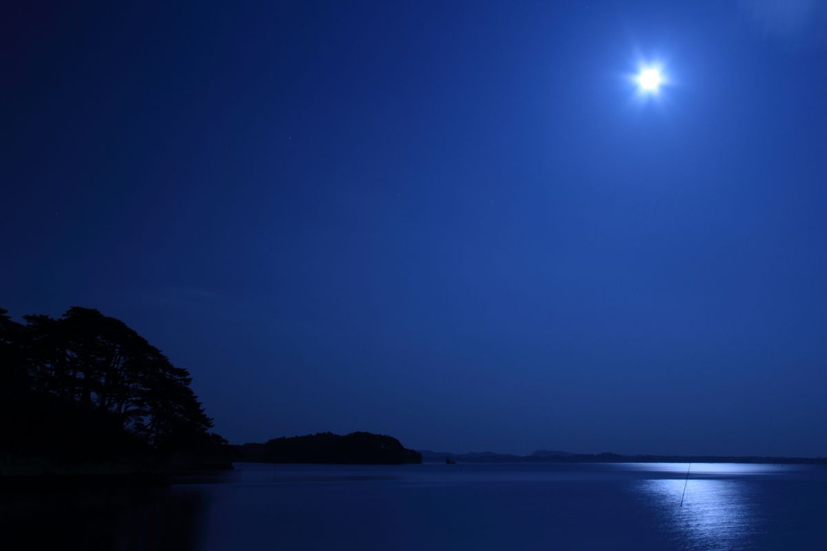 moonlit night | GANREF