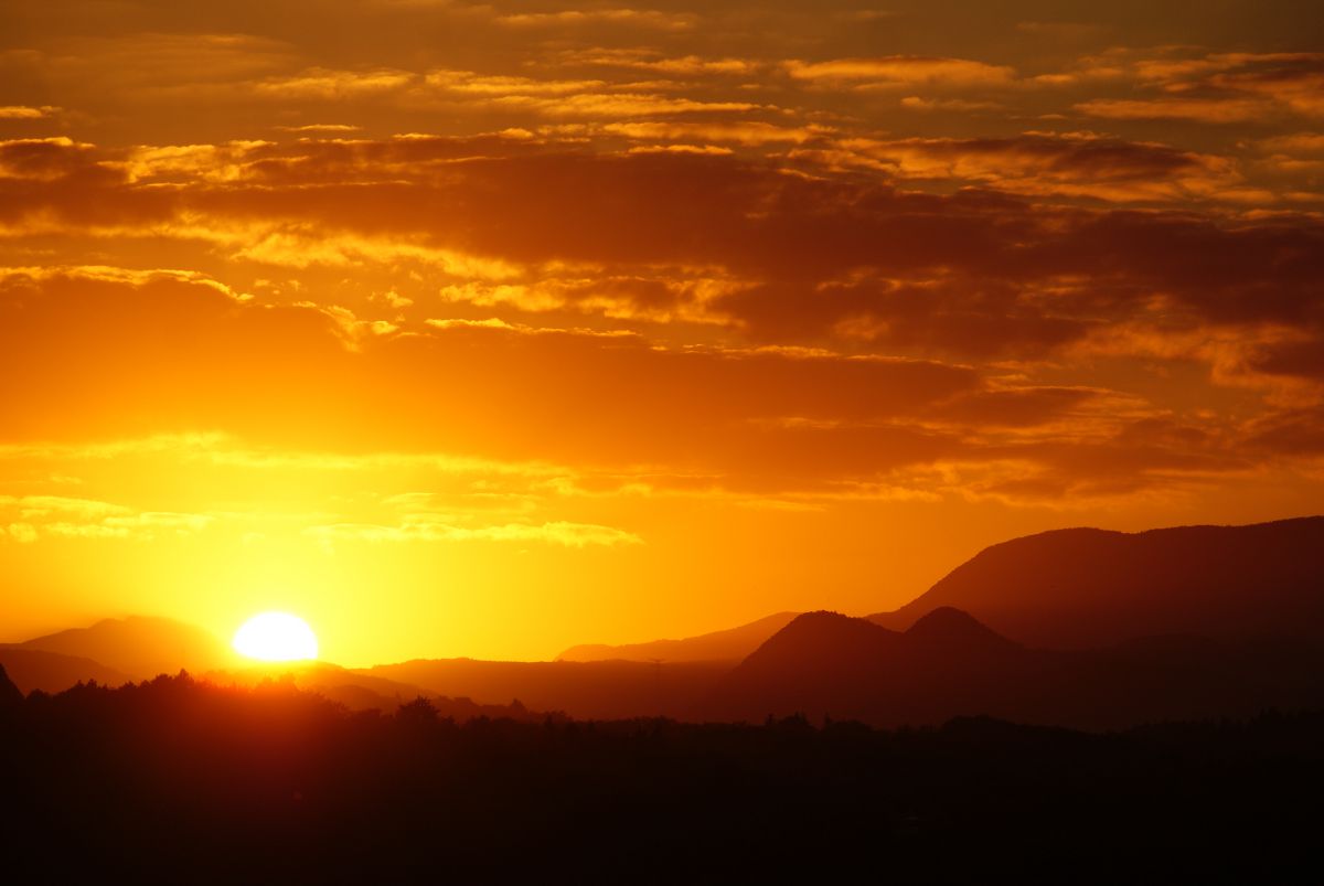 今日も・・・ | GANREF