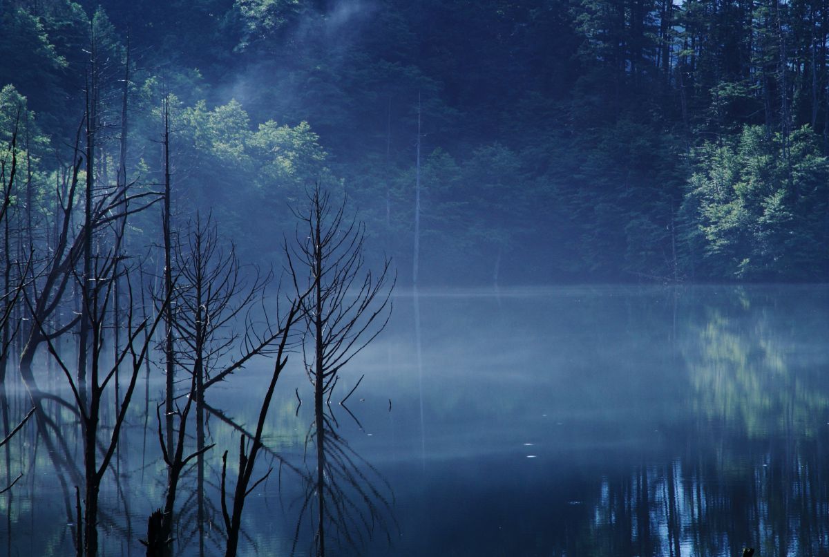 朝靄の自然湖 | GANREF