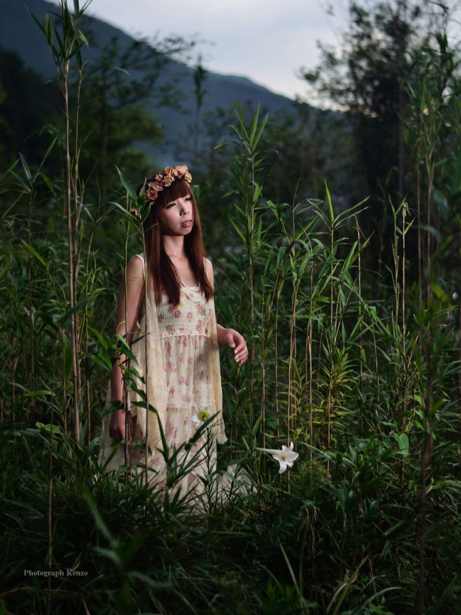 An illusion | GANREF