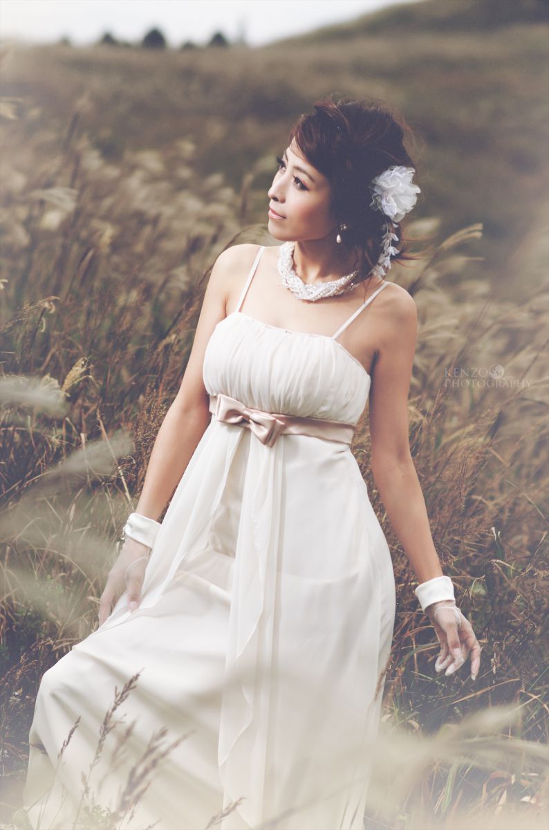 Silver Glass | GANREF