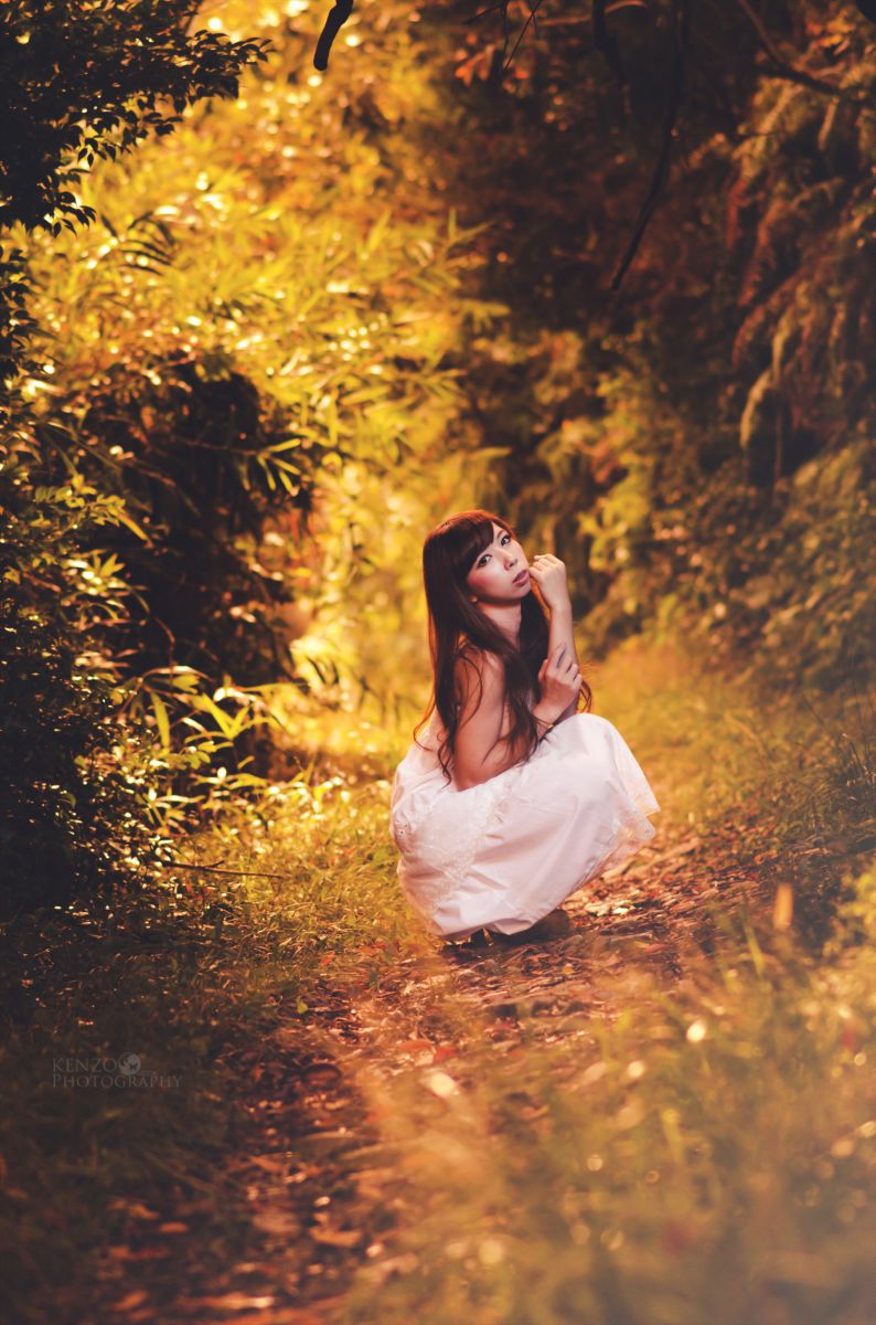 The path that continues to woods | GANREF