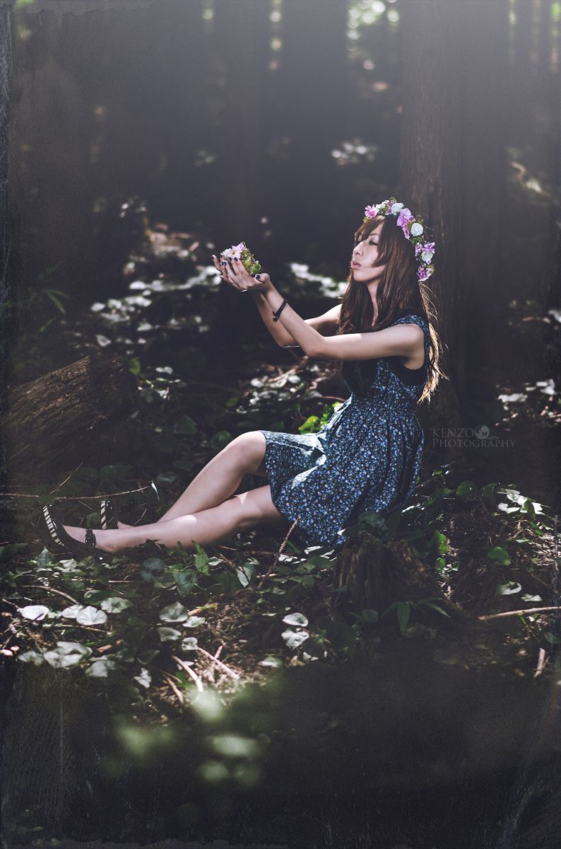 The Glory of The Woods | GANREF