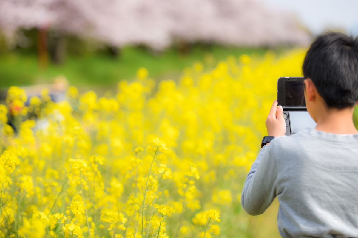 君も見ていた ① | GANREF