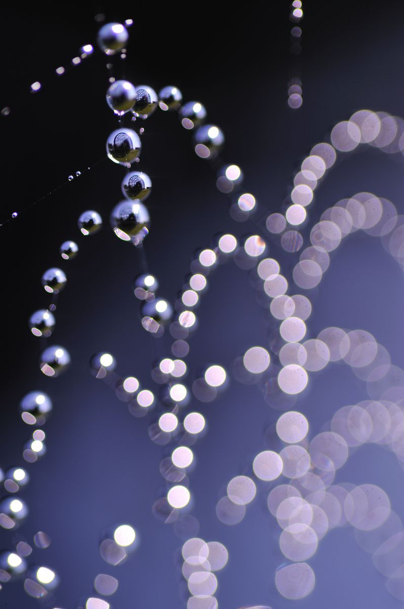 水と光のobject | GANREF