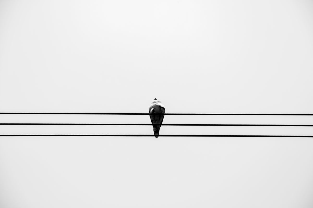 vertical or horizontal？ | GANREF