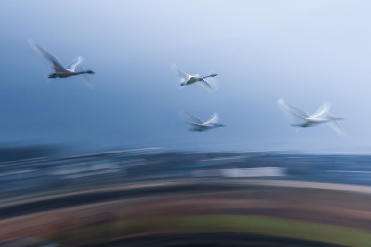 Twin Rendezvous | GANREF