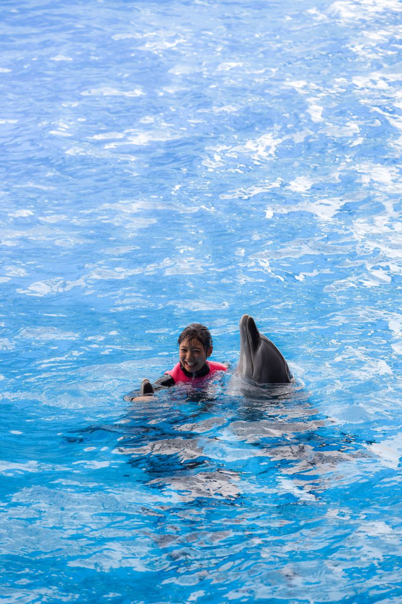 aqua blueのふれあい | GANREF