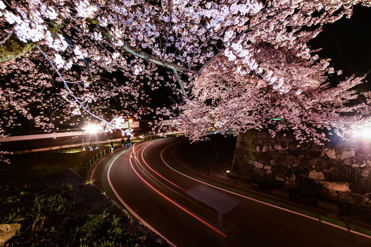 春のsensitive | GANREF