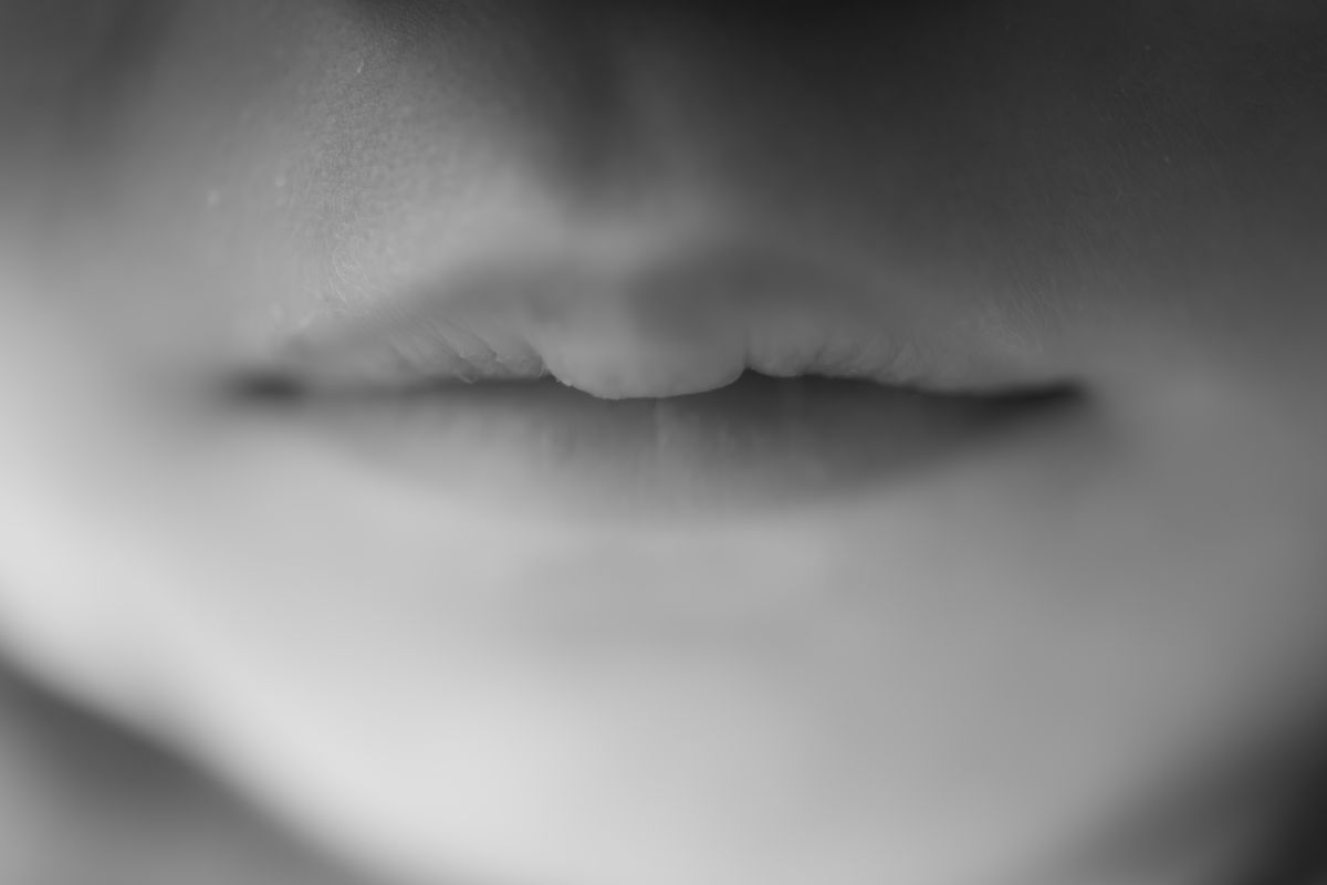 Lip... | GANREF