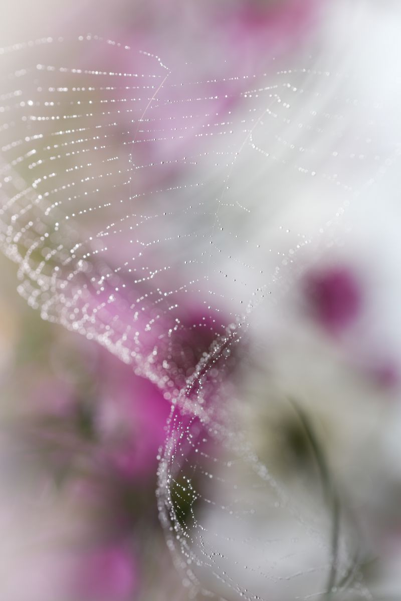 Jewelry tornado | GANREF