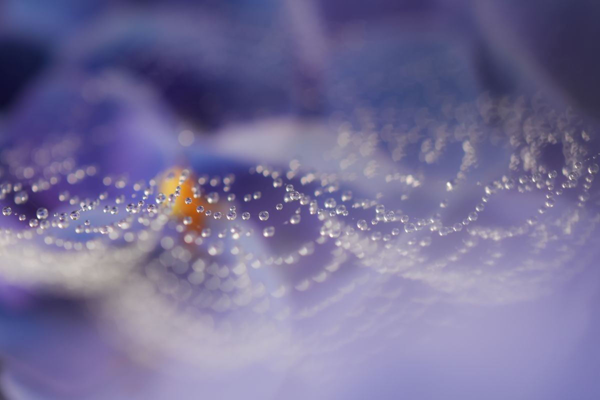 煌きのrhythm | GANREF