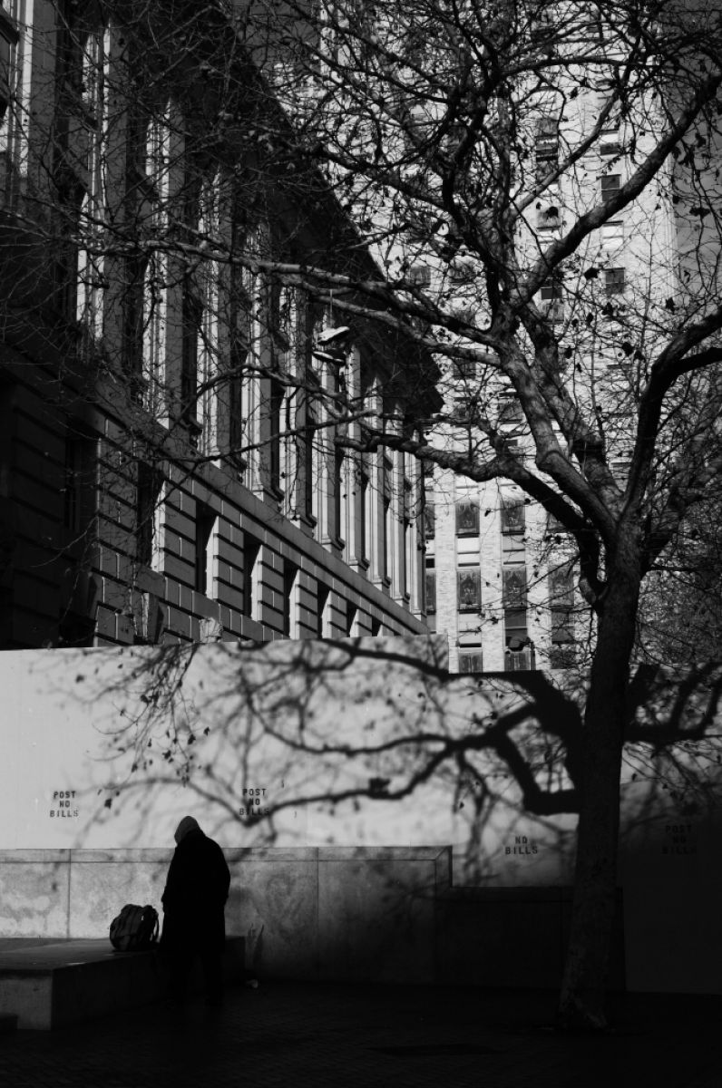 A MAN UNDER THE TREE | GANREF