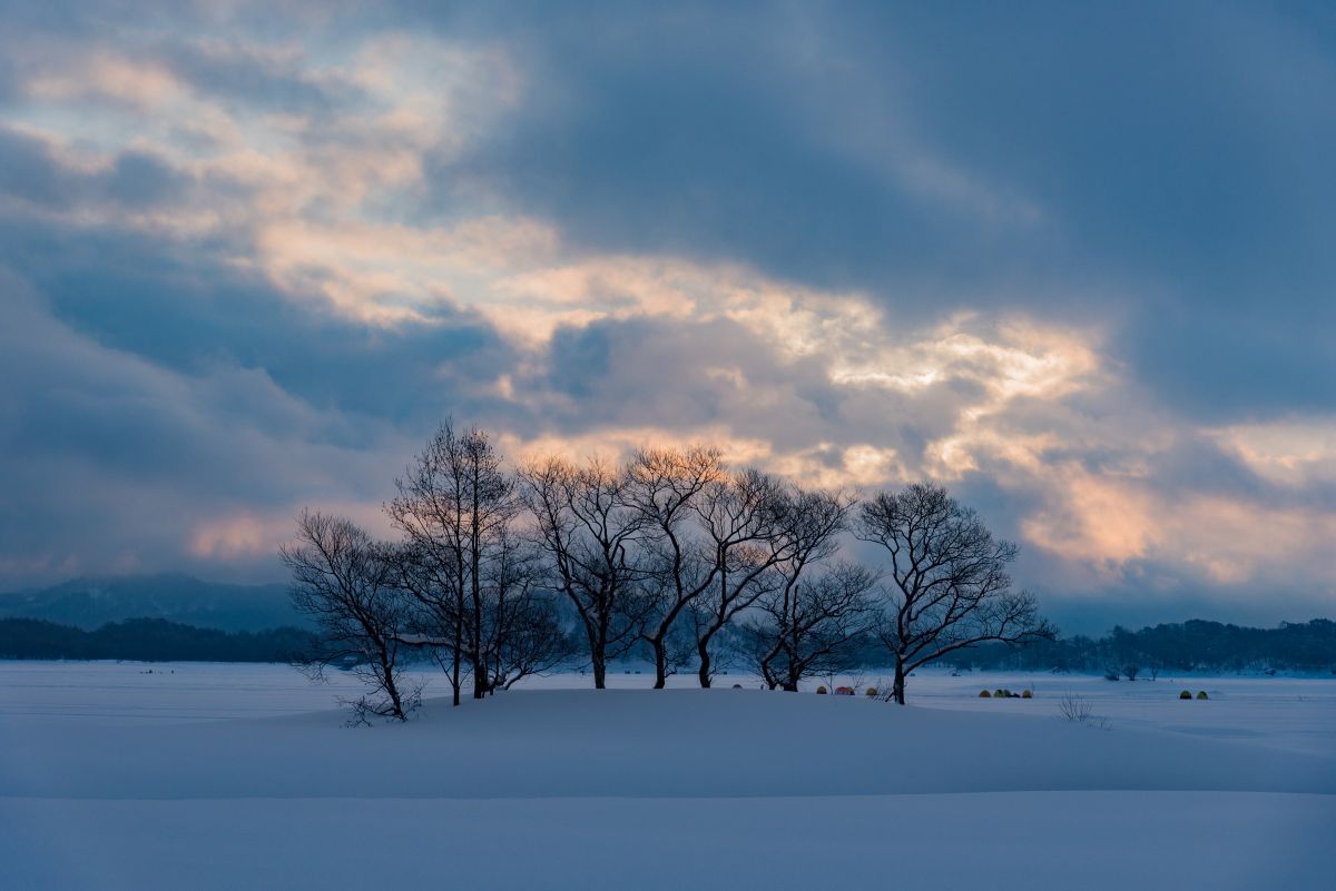 夜が明ける | GANREF