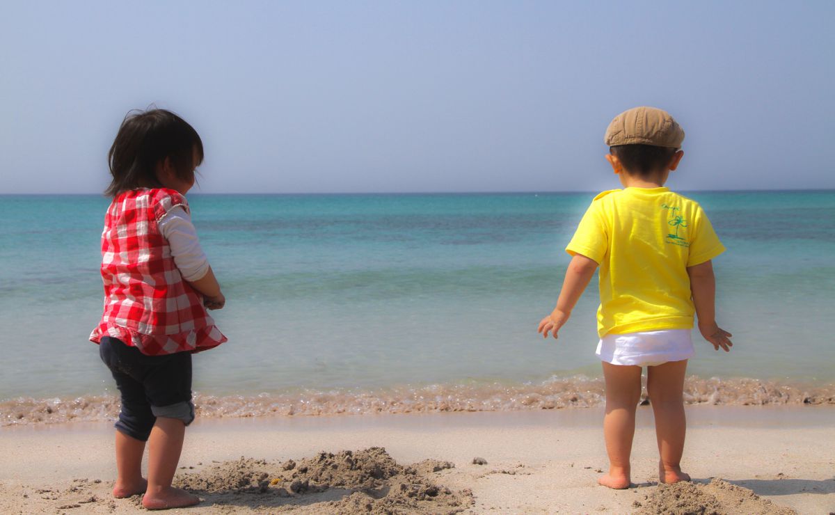 過ぎ去り往く夏 | GANREF