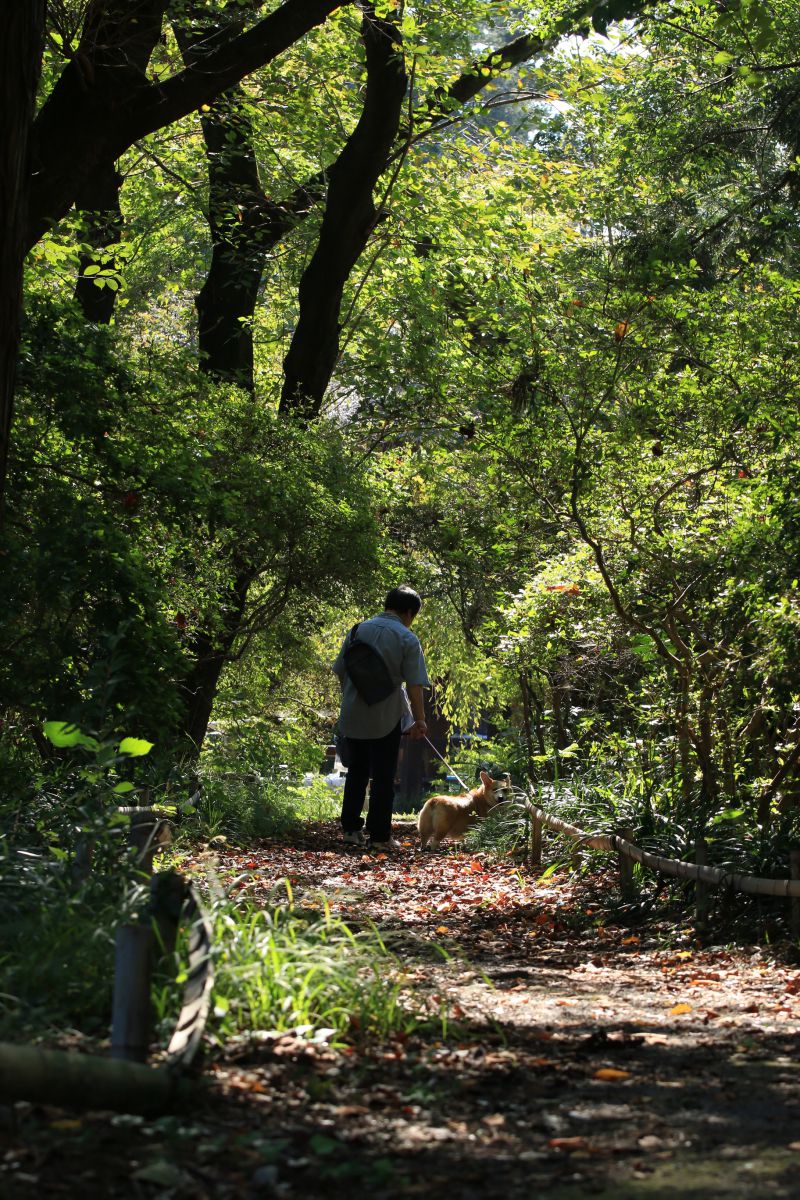 「父と愛犬」 | GANREF