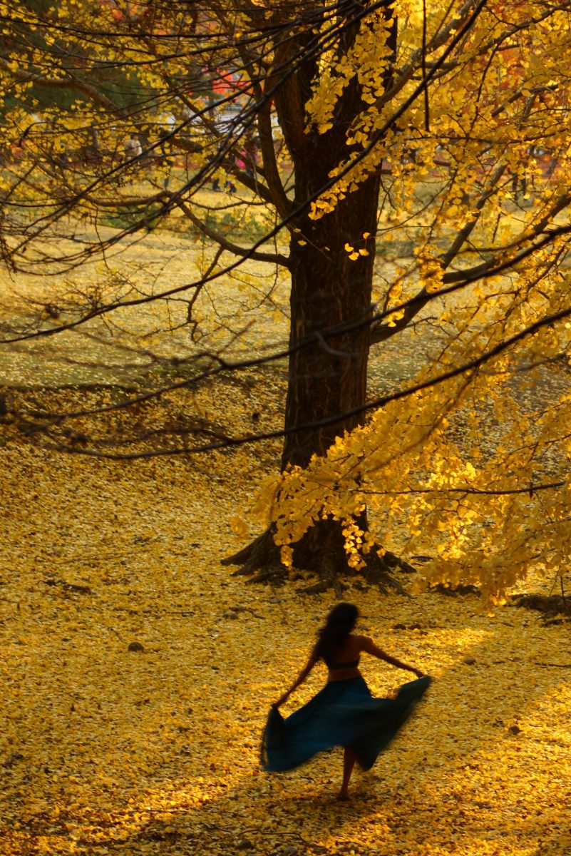 dancing in 奈良 | GANREF