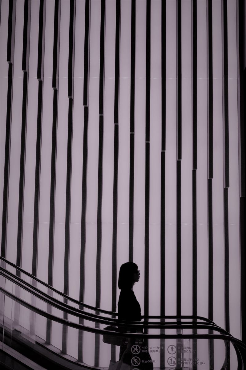 In the stripe | GANREF