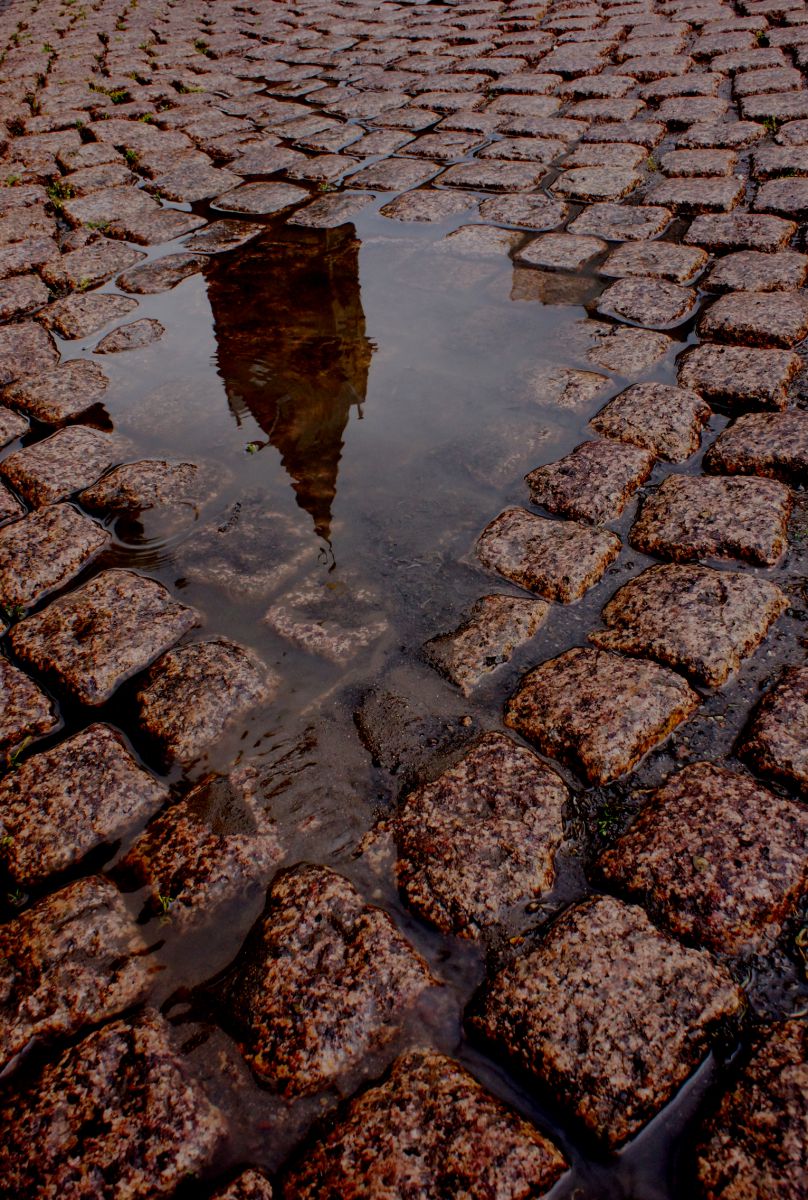 After rain・・・ | GANREF