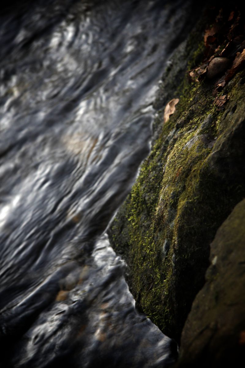 Flow - 流れ | GANREF