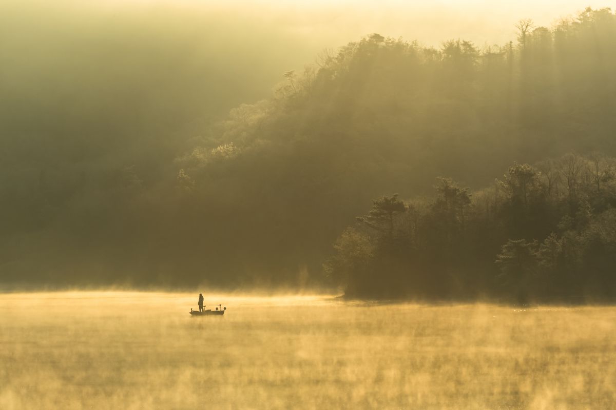 Majestic Fishing | GANREF